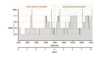 What makes a good night’s sleep? - The Physiological Society