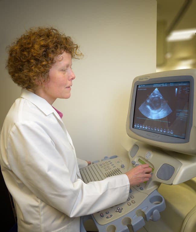 Sarah Calaghan - The Physiological Society