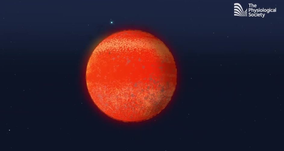 Space survival - The Physiological Society