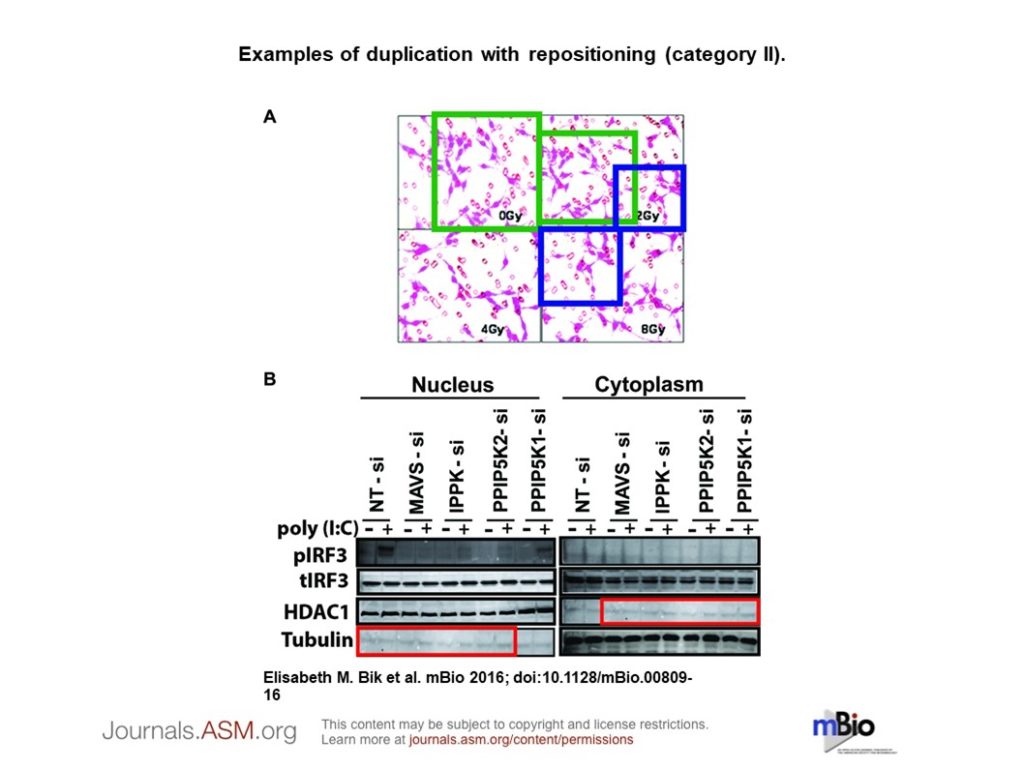 The science and art of detecting data manipulation and fraud: An ...