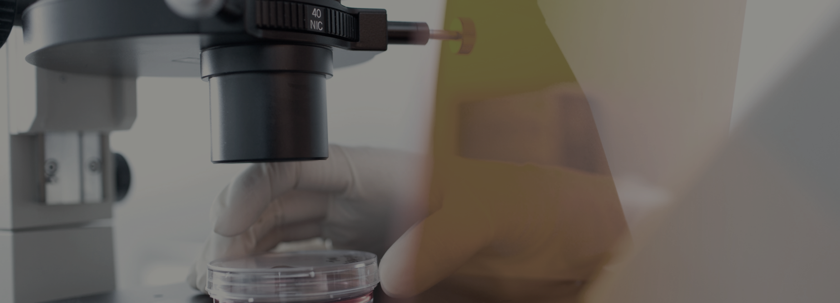 The Hodgkin-Huxley Experiments: A New Publication to Aid in the ...