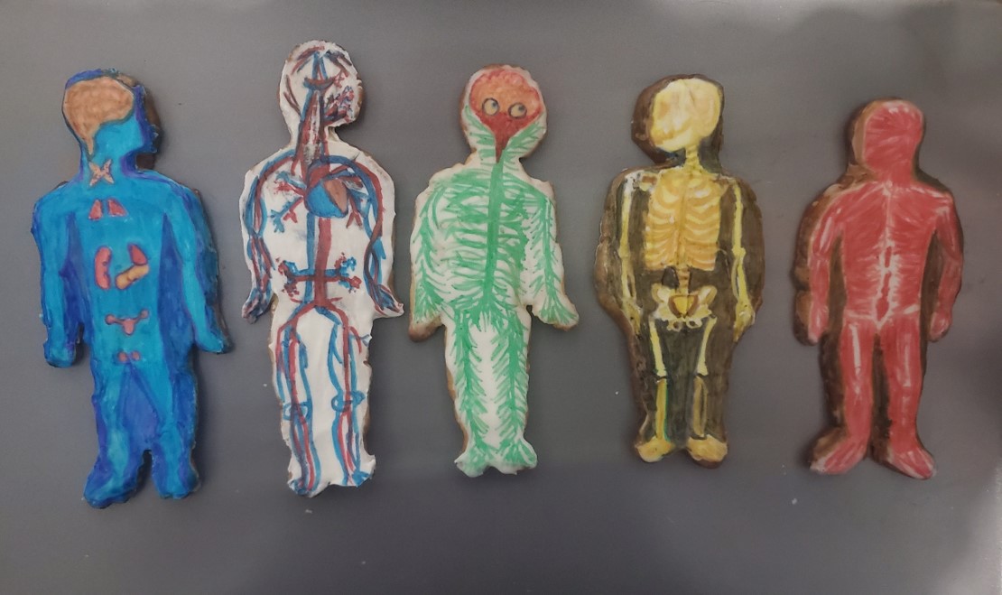 Vote for your favourite 2020 #BioBakes now! - The Physiological Society