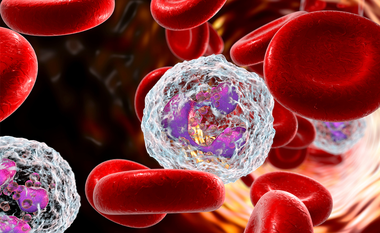 Mathematical Modelling Identifies the Complex Inflammatory-Thermal-Pain ...