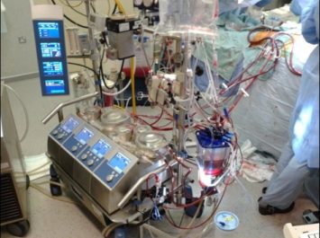 A clinical perfusion scientist: - The Physiological Society