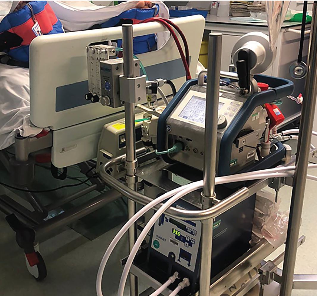 A clinical perfusion scientist: - The Physiological Society