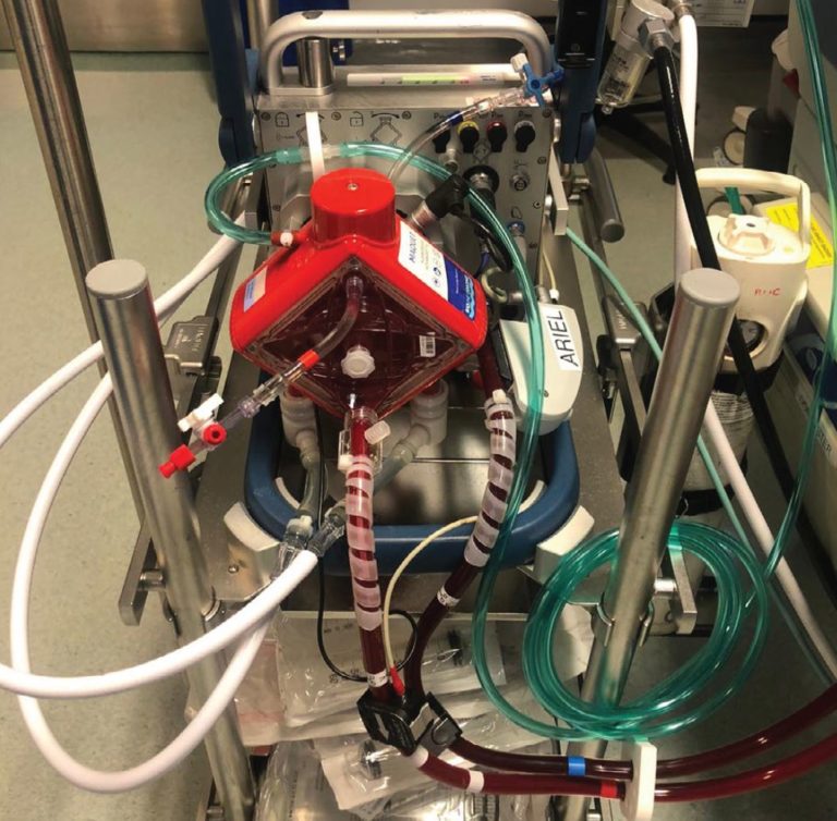 A clinical perfusion scientist: - The Physiological Society