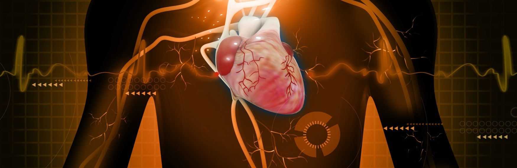 Training Hub - The Physiological Society