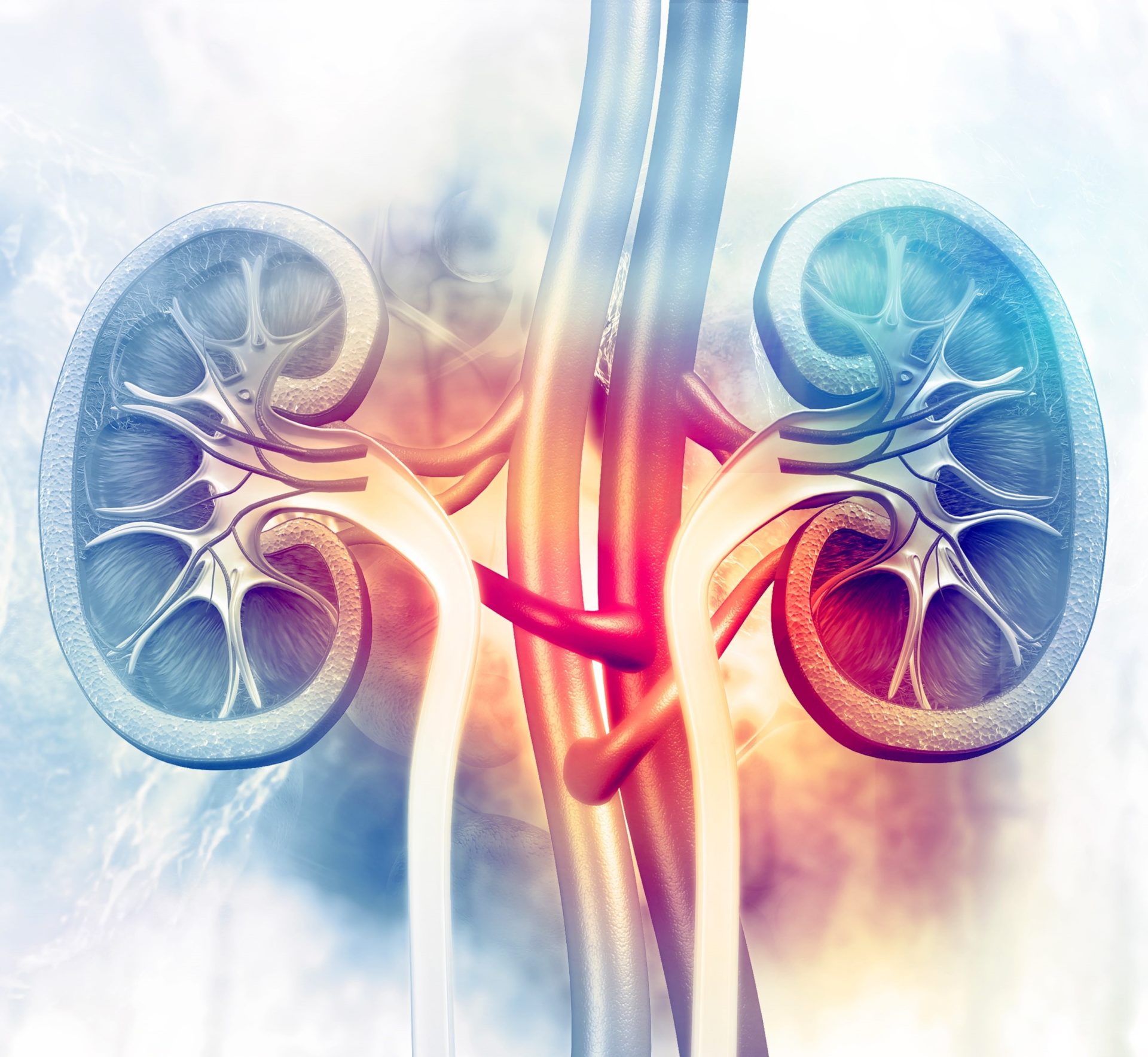 Improving the prognosis of kidney patients with exercise - The ...