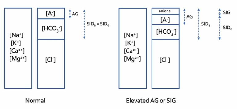 An introduction to Stewart acid–base - The Physiological Society