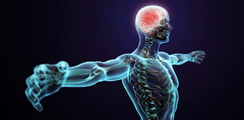 Pathophysiology of falls, balance and fall prevention - The ...