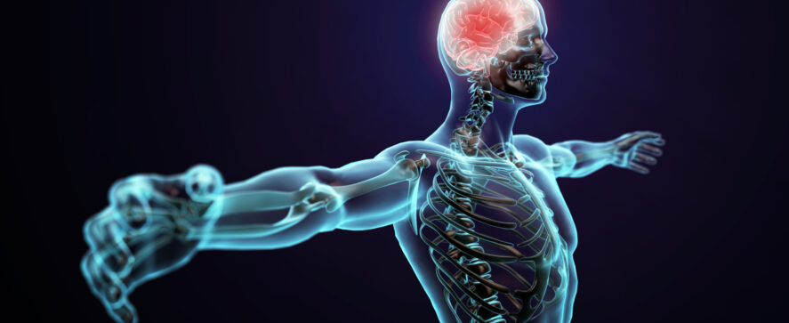 About us - The Physiological Society