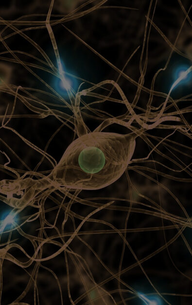 Homepage - The Physiological Society