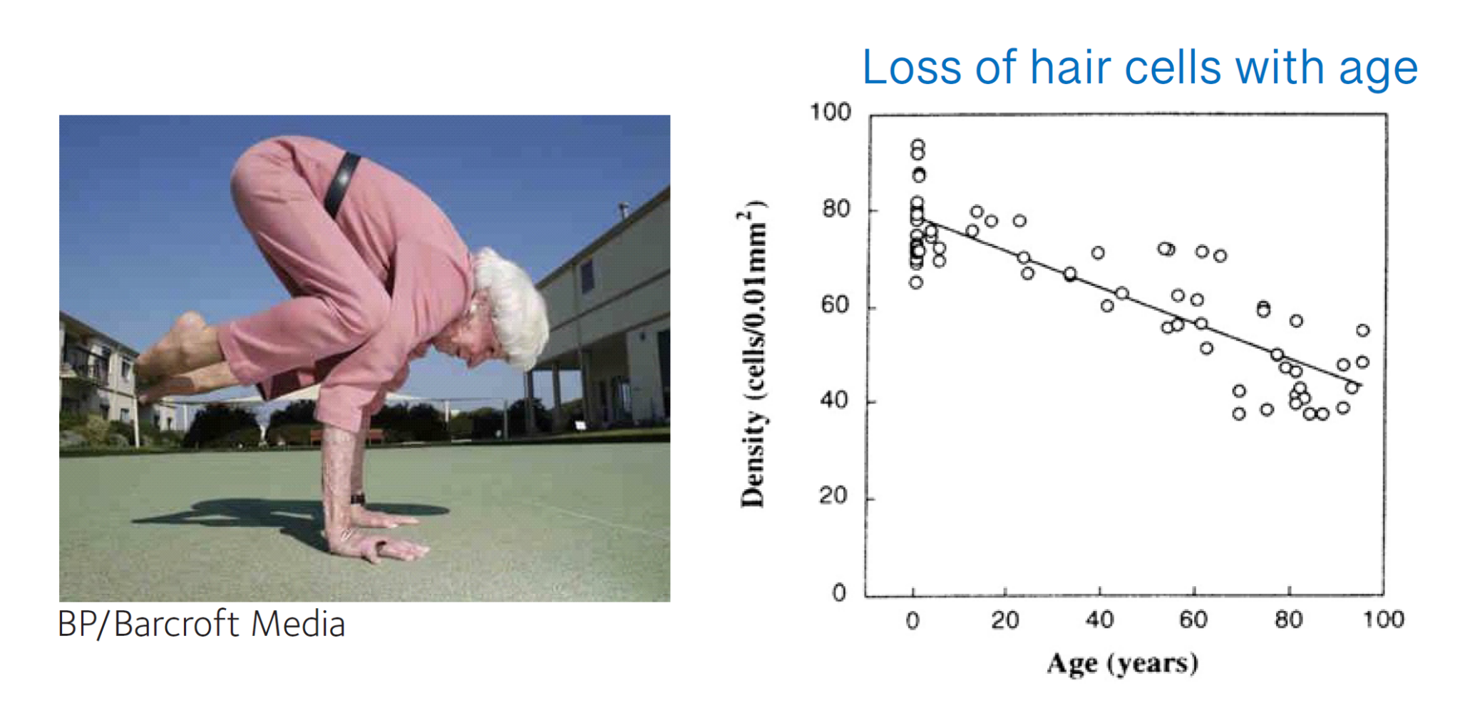 The neuroscience of balance - The Physiological Society