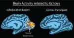 Echolocation in people - The Physiological Society