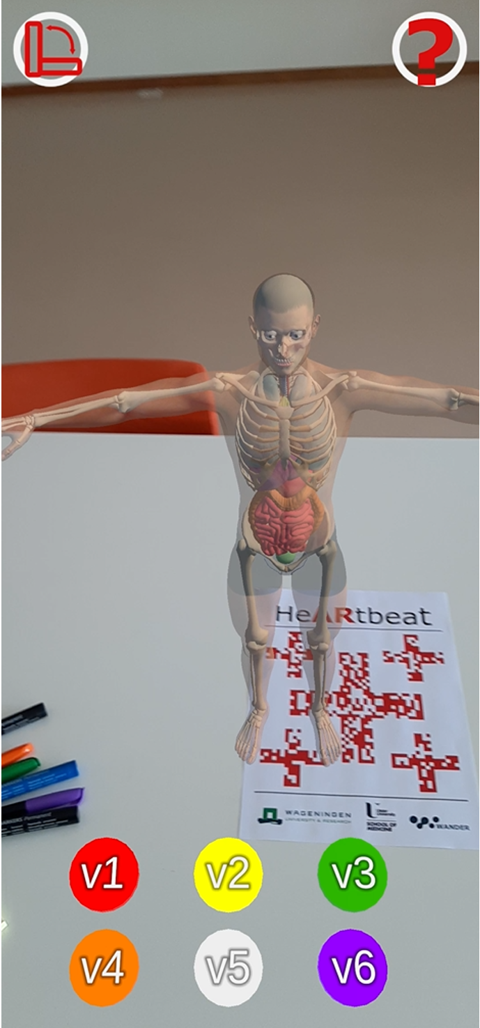 Learning cardiac physiology in a virtual world to improve clinical ...