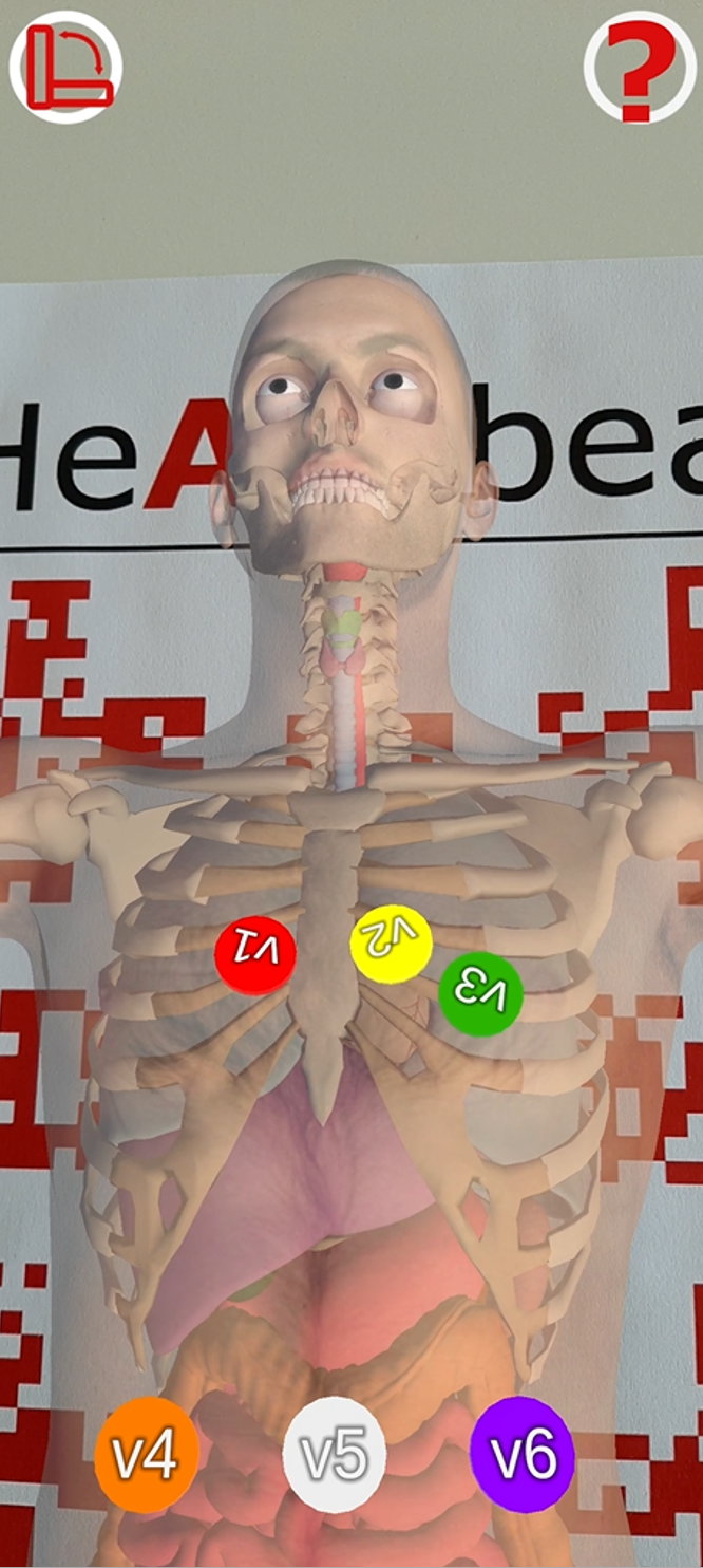 Learning cardiac physiology in a virtual world to improve clinical ...