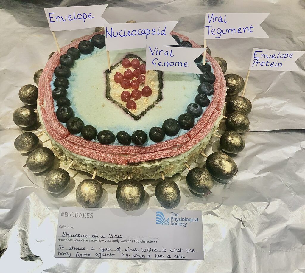 2022 #BioBakes shortlist - The Physiological Society