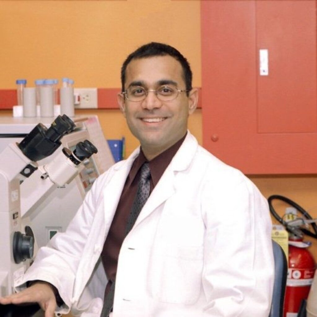 Astrocytes and hepatic stellate cells (HSCs): Stars of tissue ...