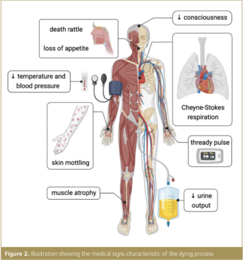 We need to talk about death - The Physiological Society
