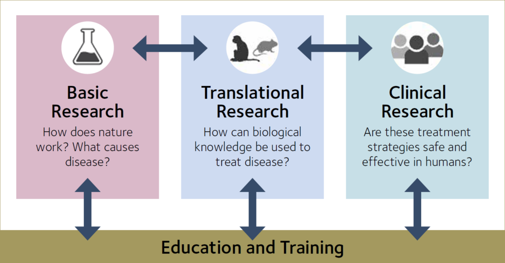 Building and strengthening our community - The Physiological Society
