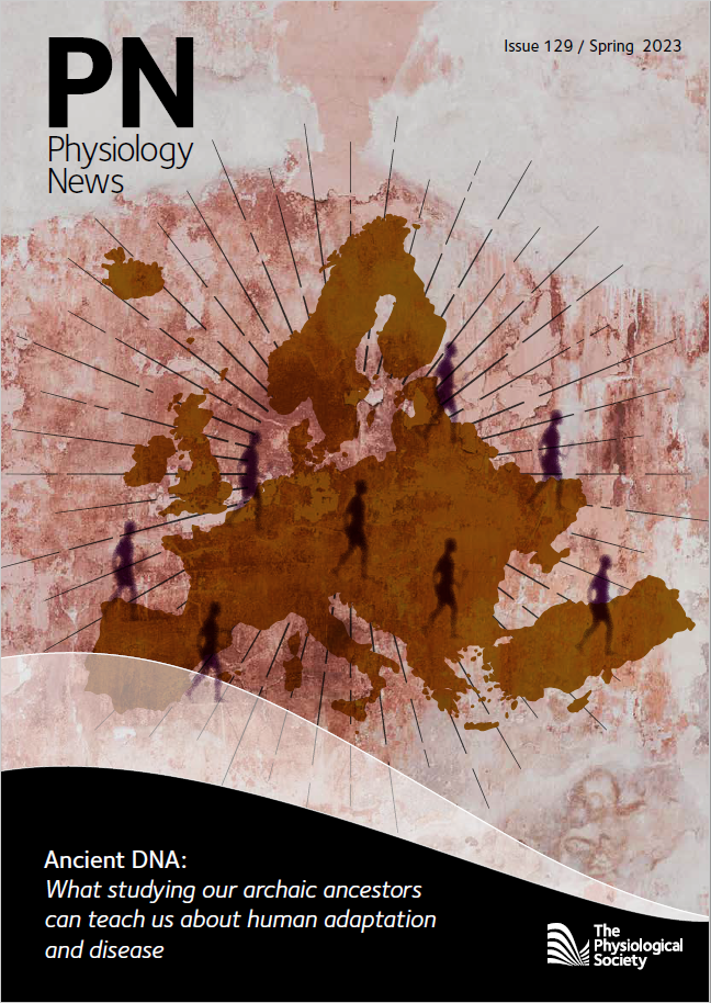 An introduction to the Physiology News Editorial Board - The ...