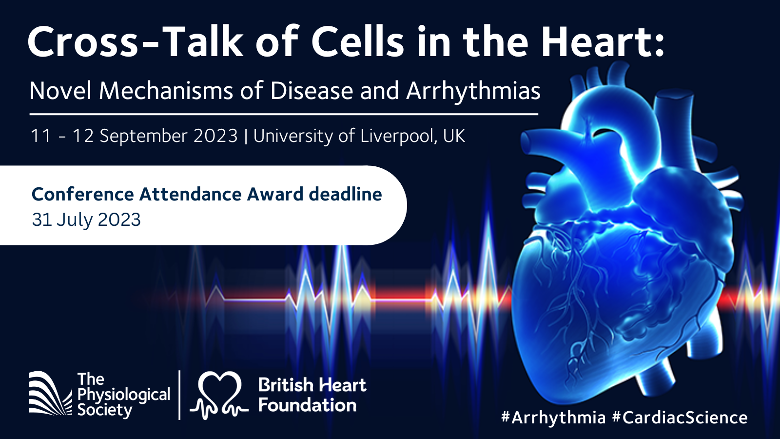 Cross-Talk of Cells in the Heart: Novel Mechanisms of Disease and ...