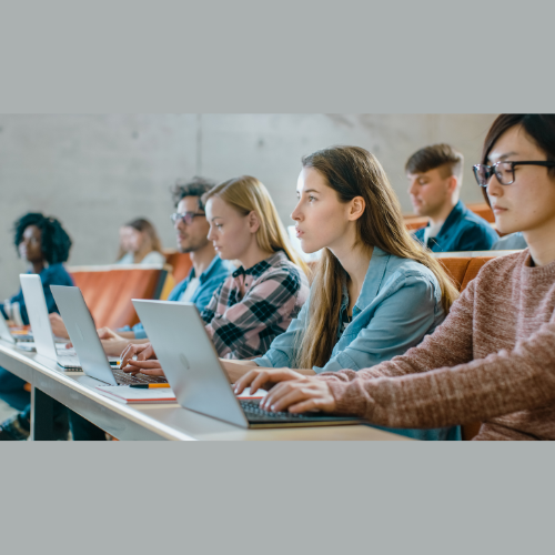 Problem-based learning for authentic assessment in a large class ...