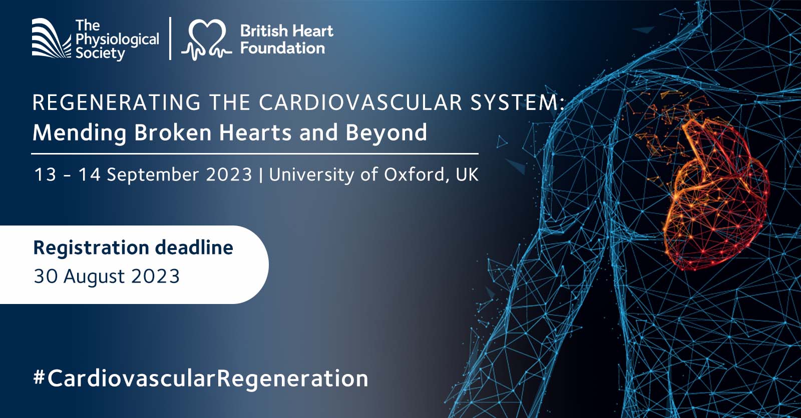 Regenerating the Cardiovascular System