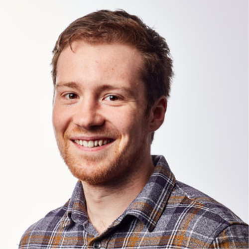 Why should we use non-mammalian models for in vivo practical education ...