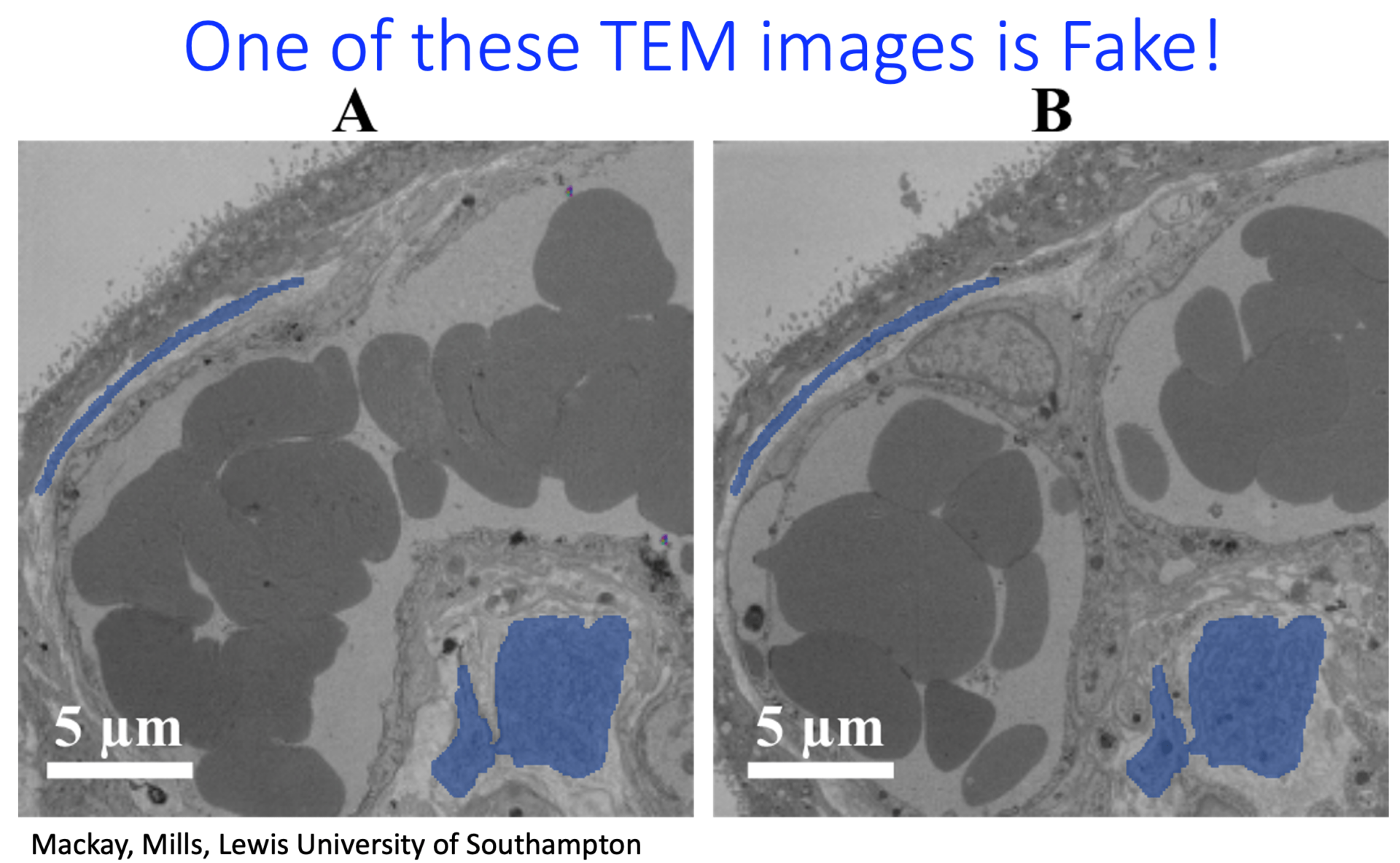 Developing trusted healthcare tools: How physiology can unlock the ...