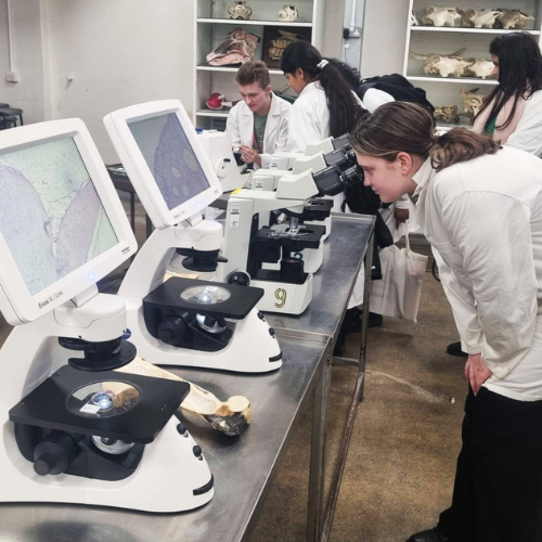 Celebrating Physiology Week - The Physiological Society