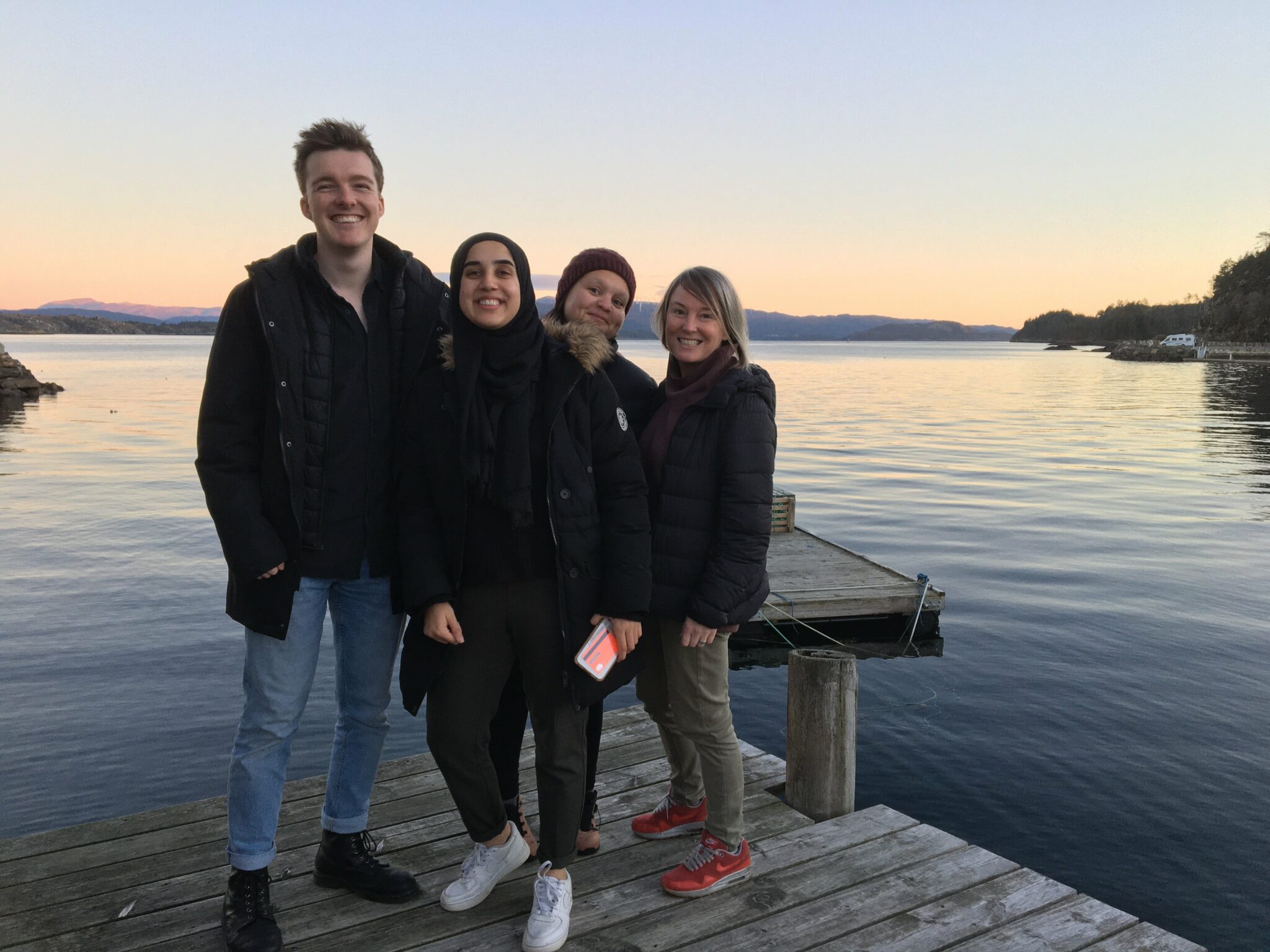 Invisible killers: Toxic particles and the heart - The Physiological ...